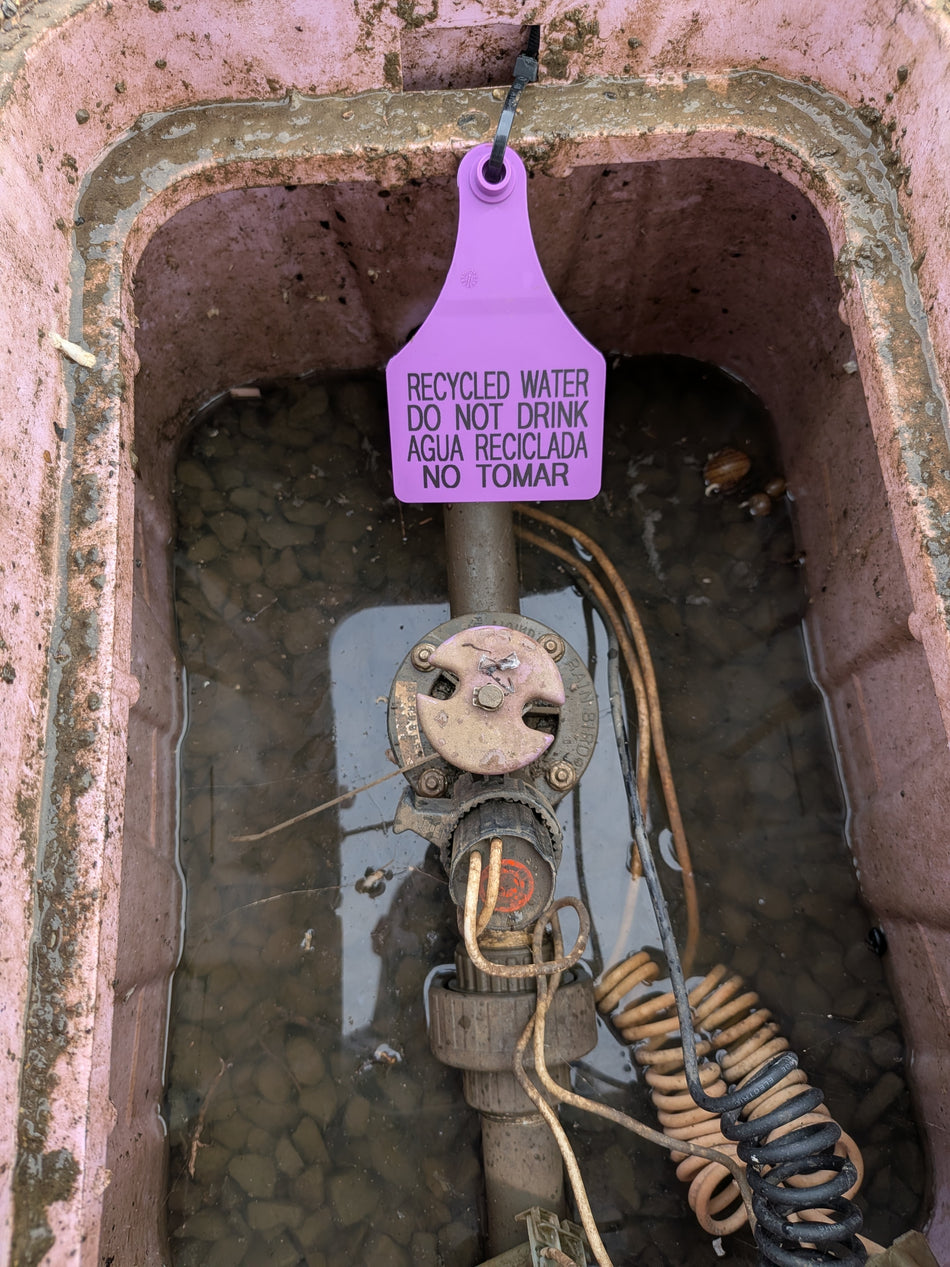Premium Purple Recycled Water Hanger Tags | UV-Resistant Rubber ID Tags ...